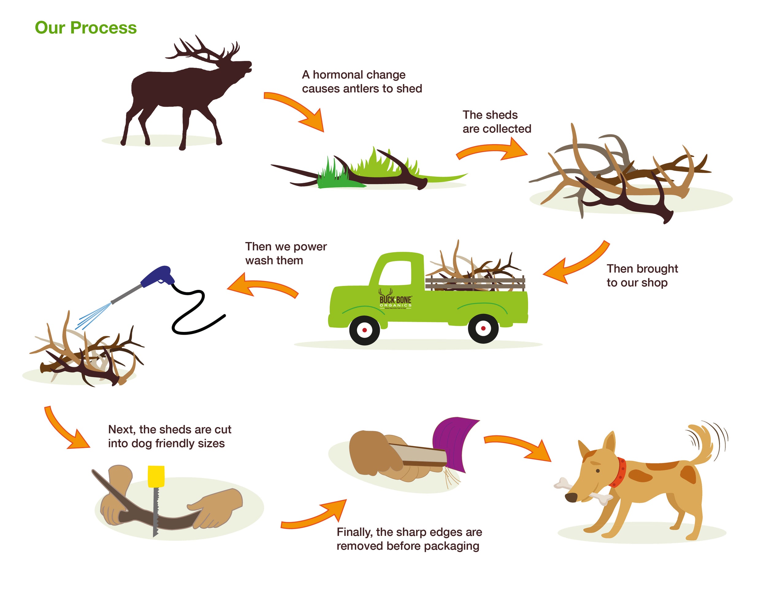 Our Process– Buck Bone Organics