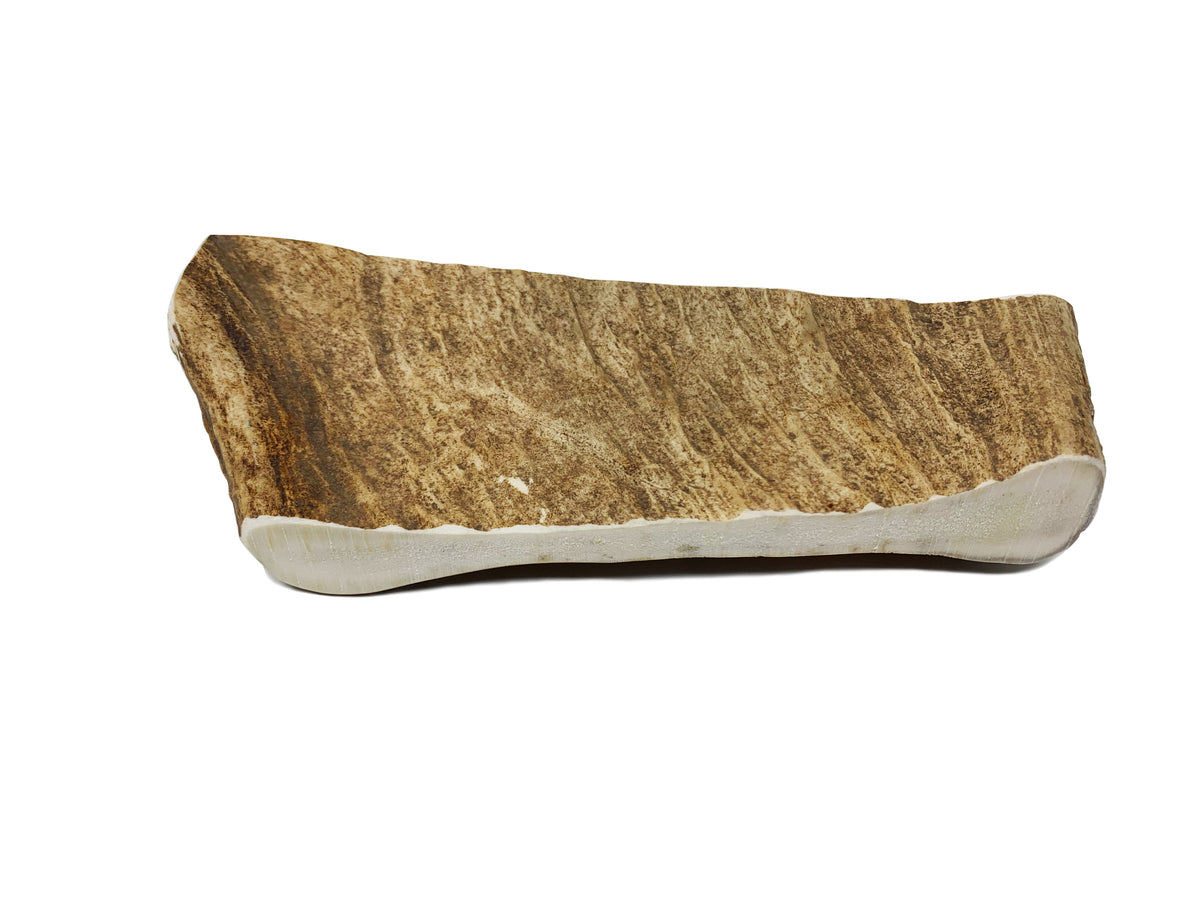 Moose Antler Dog Chew Jumbo– Buck Bone Organics